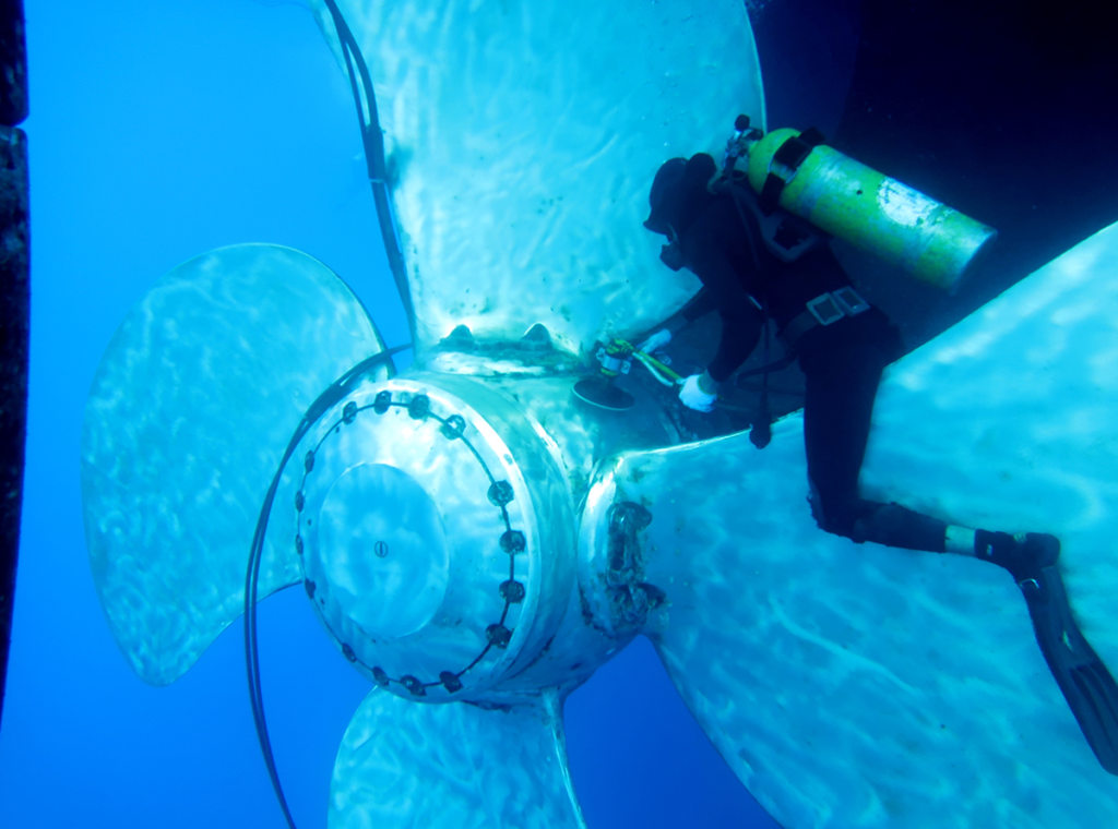 Master Divers - Our Gallery